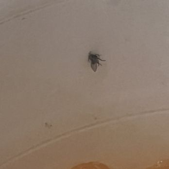 CEDAR PARK CAFE - Updated November 2025 - 227 Photos & 339 Reviews ...