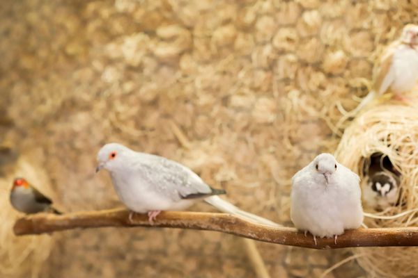 WINDSOR HAMPTON CARE CENTER - Updated December 2025 - 13 Photos & 38 ...