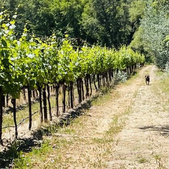 KETCHAM ESTATE WINERY - Updated December 2025 - 1083 Vine St ...