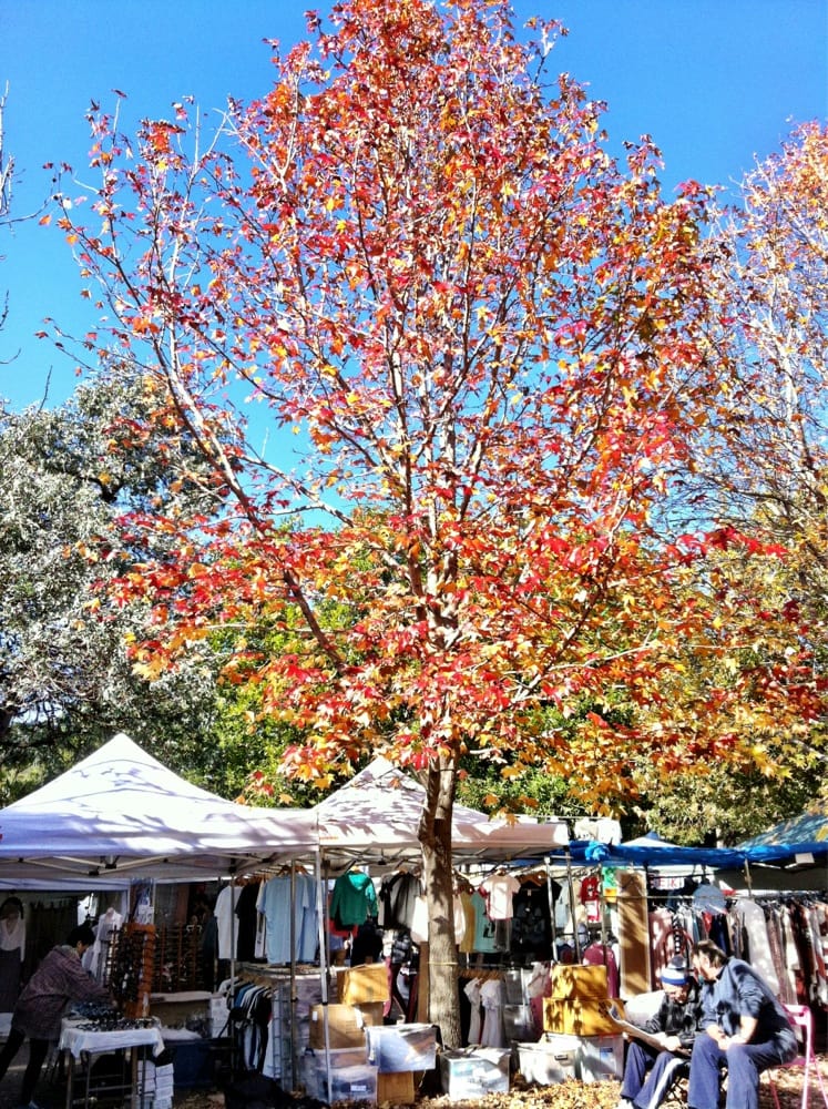 GLEBE MARKETS - Updated December 2025 - 24 Photos & 23 Reviews - 40 ...