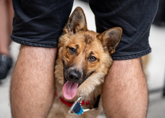 MUDDY PAWS RESCUE - Updated July 2025 - 130 Photos & 112 Reviews - New ...