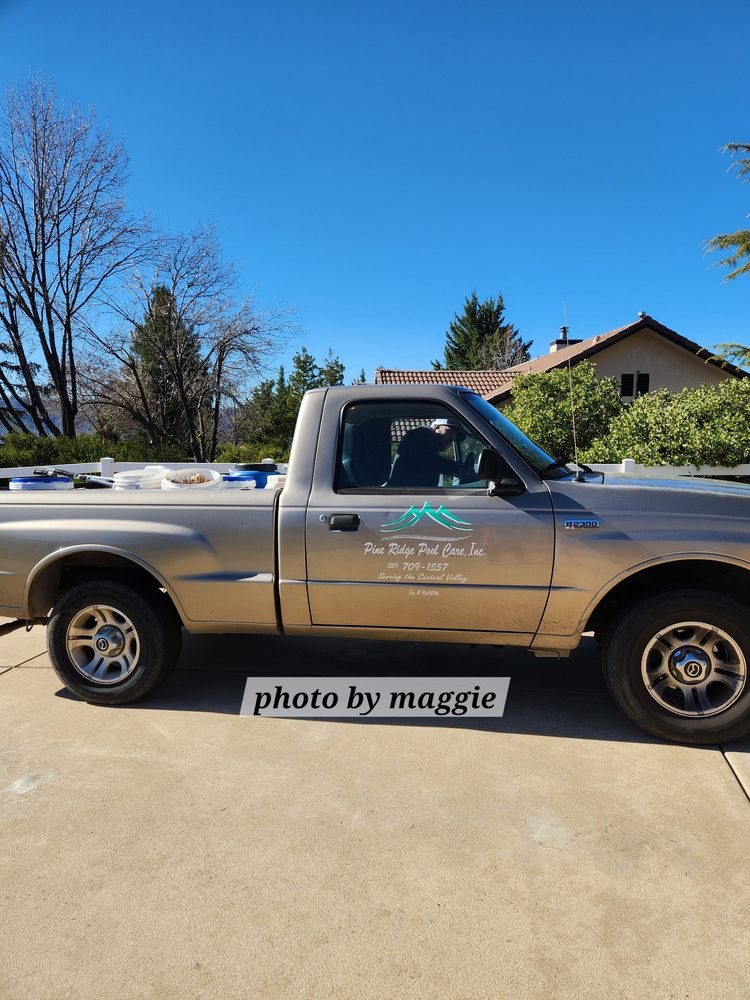 PINE RIDGE POOL CARE - Updated August 2025 - 14 Reviews - PO Box 956 ...