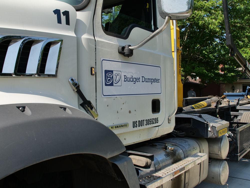 BUDGET DUMPSTER - Updated June 2026 - 44 Photos & 44 Reviews ...