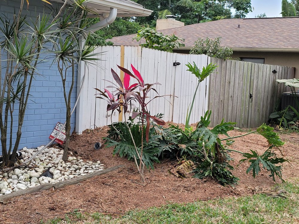 DARINELS TREE SERVICE MORE - Updated October 2025 - Bradenton, Florida ...