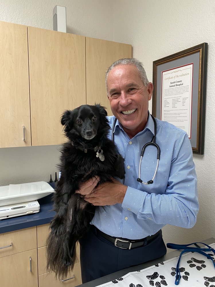 SOUTH COUNTY ANIMAL HOSPITAL - Updated July 2025 - 63 Photos & 141 ...
