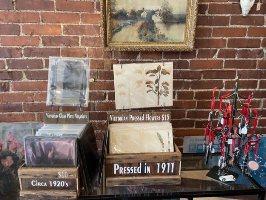 BIDDLE’S ESCAPE - Updated October 2025 - 194 Photos & 217 Reviews - 401 ...