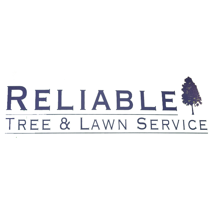 RELIABLE TREE & LAWN SERVICE - Updated August 2025 - Vero Beach ...