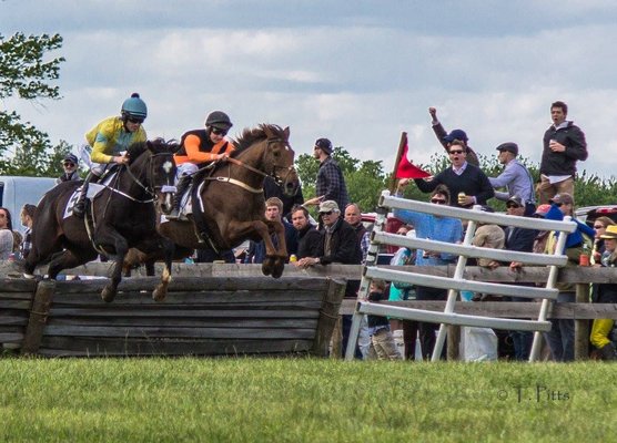 POTOMAC HUNT RACES - Updated October 2025 - 20 Photos & 12 Reviews ...
