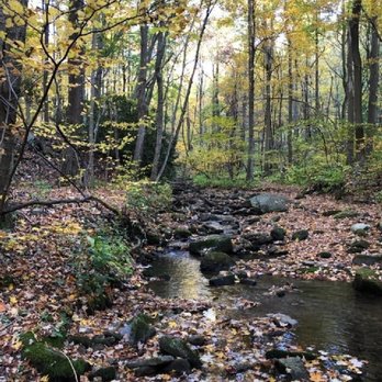 ROARING RUN NATURAL AREA - Updated December 2025 - Fire Town Rd ...