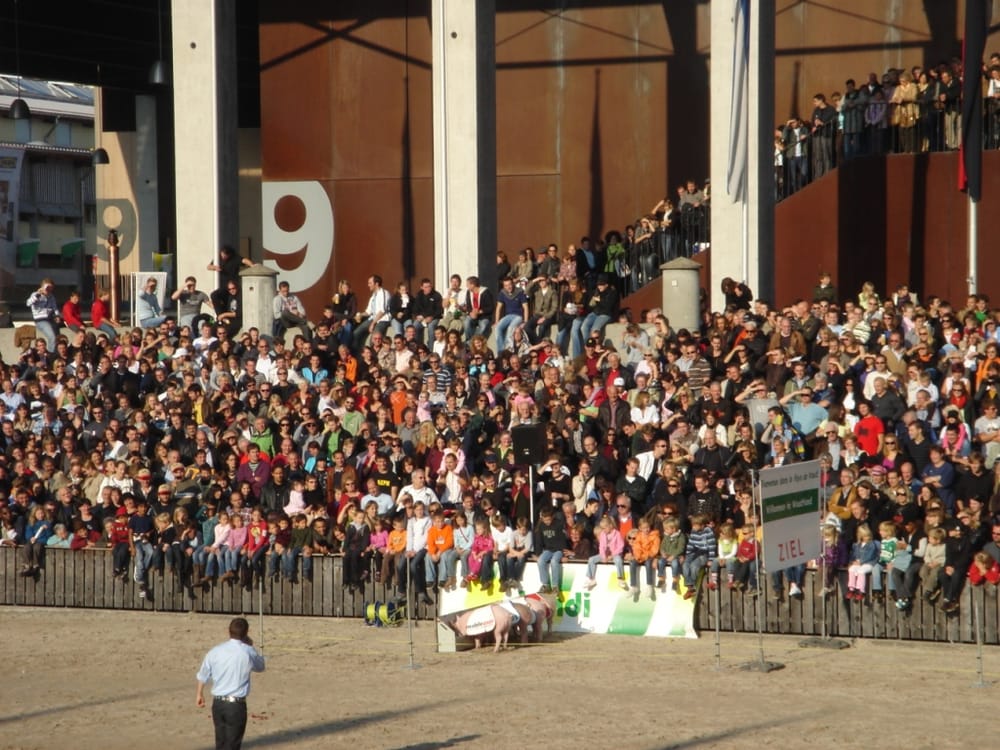 OLMA - Updated December 2024 - 32 Photos - Splügenstrasse 12, St ...