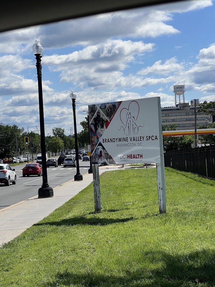 BRANDYWINE VALLEY SPCA - Updated January 2026 - 1201 New York Ave NE ...