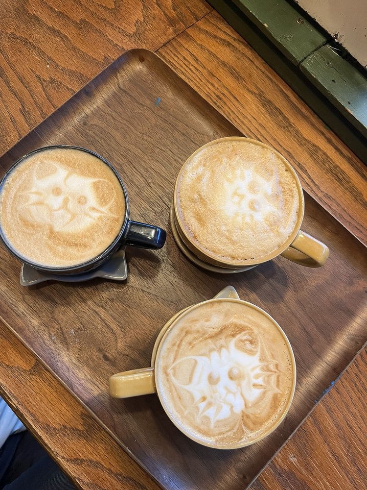 CLEOCATRA CAFE - Updated September 2025 - 13 Photos - 859 Portage ...