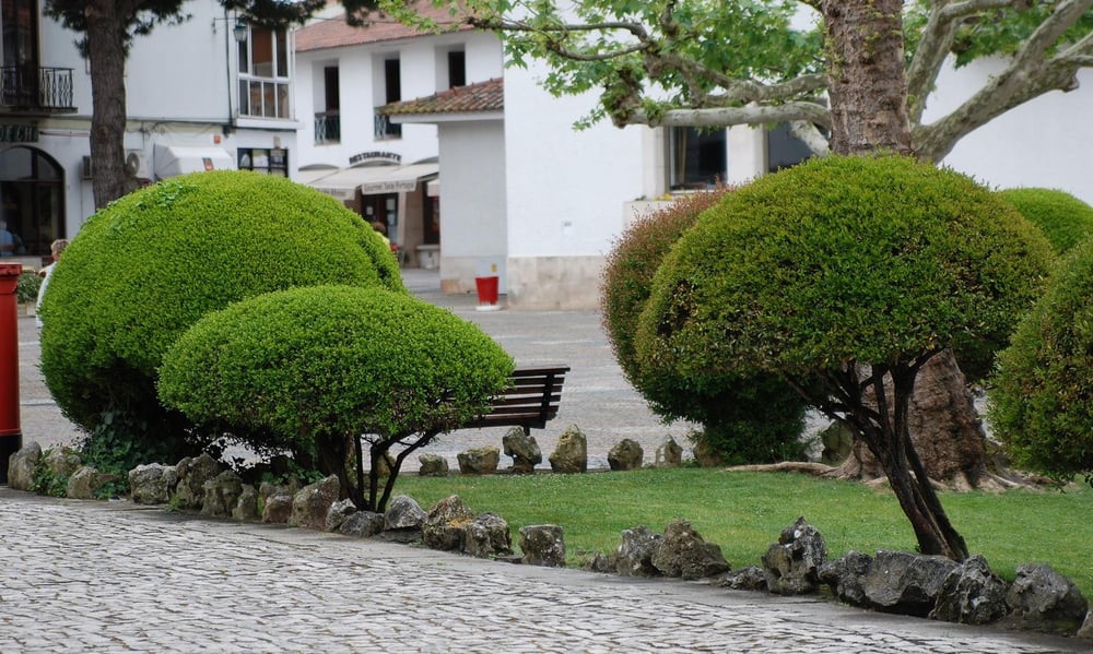 THREE RIVERS LANDSCAPING - Updated December 2025 - Pittsburgh ...