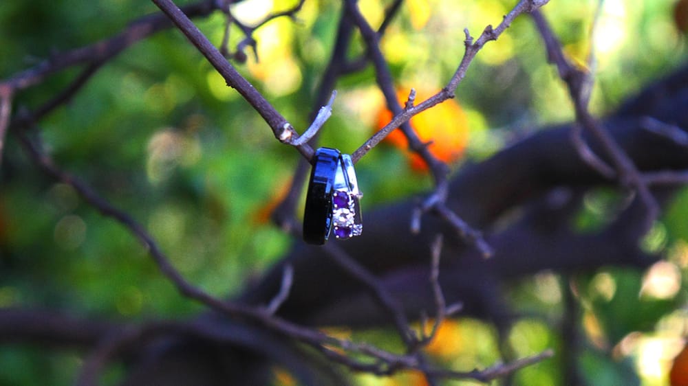 GEORGE KEY RANCH HISTORIC PARK - 34 Photos - Landmarks & Historical ...