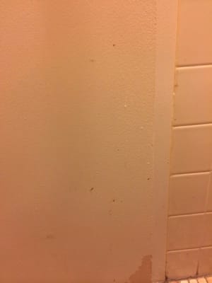 COMMACK MOTOR INN - Updated December 2025 - 10 Photos & 19 Reviews ...