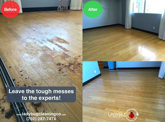 LADYBUG CLEANING - Updated August 2025 - 188 Photos & 183 Reviews ...