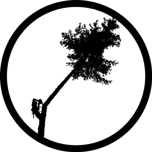 ALASKA TREE TOPS - Tree Services - Anchorage, AK - Phone Number - Yelp