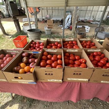 MCADAMS FARM - Updated December 2025 - 37 Photos & 11 Reviews - 1100 N ...