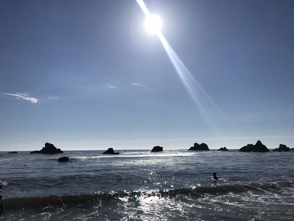 SHELL BEACH with 67 real customer photos - Updated August 2024 - 3095 ...