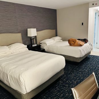 HILTON CONCORD - Updated December 2025 - 466 Photos & 459 Reviews ...