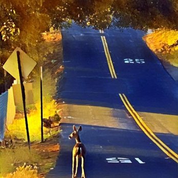 SUNSET VIEW CEMETERY AND MORTUARY - Updated December 2025 - 117 Photos ...