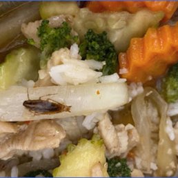 THAI KITCHEN - Updated December 2025 - 193 Photos & 254 Reviews - 4357 ...