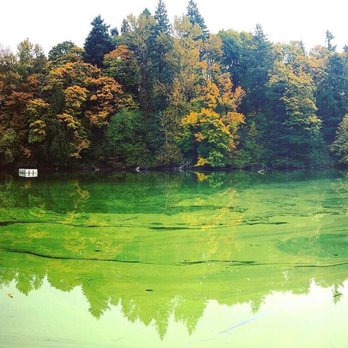 LAKE FENWICK PARK - Updated August 2025 - 127 Photos & 30 Reviews ...