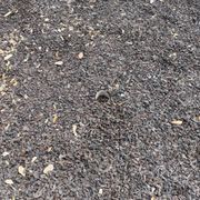 MIAMI MANAGEMENT - 13 Photos & 58 Reviews - Property Management - 1145 ...