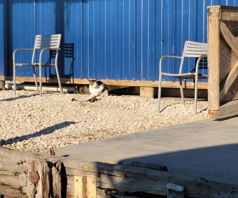 HOPEDALE MARINA - Updated October 2025 - 39 Photos - 7600 Hopedale Hwy ...