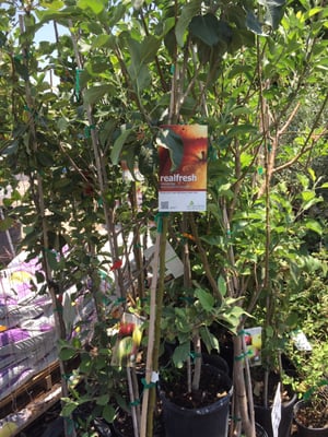 JOHN’S CORNER - Updated October 2025 - 20 Photos & 11 Reviews - 3827 N ...