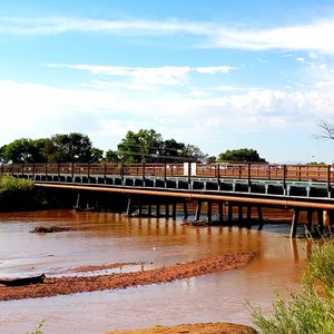 PASEO DEL BOSQUE TRAIL - 115 Photos & 25 Reviews - Hiking - Along The ...