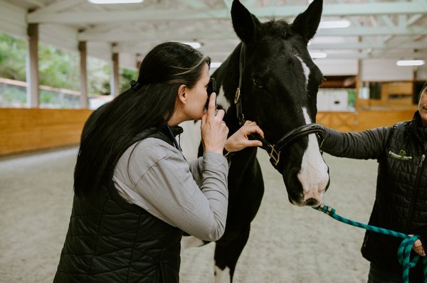 EVERGREEN EQUINE VETERINARY PRACTICE - Updated October 2025 - 14 Photos ...