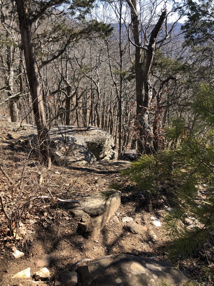 THE PINNACLES - 16 Photos - 2047 Big Hill Rd, Berea, Kentucky - Hiking ...
