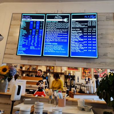 PAPER PLANE COFFEE - 236 Photos & 155 Reviews - 61 N Fullerton Ave ...