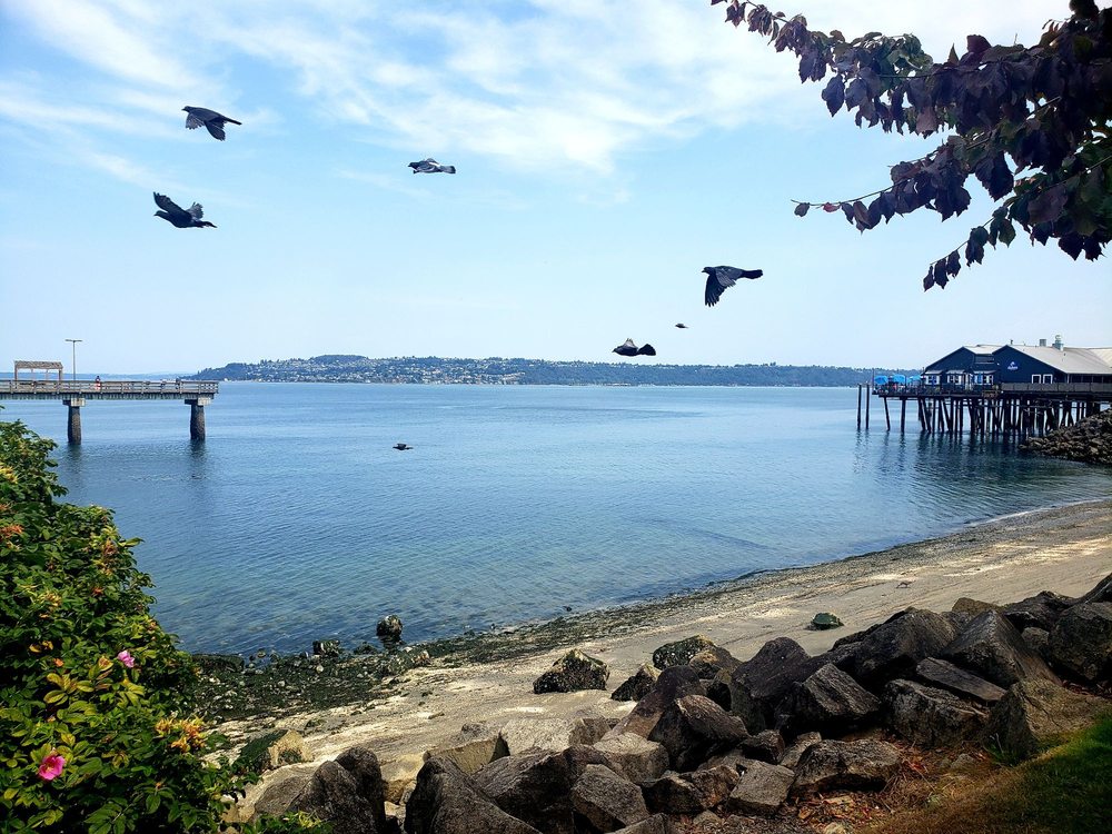 RUSTON WAY WATERFRONT - 157 Photos & 34 Reviews - Tacoma, WA - Yelp