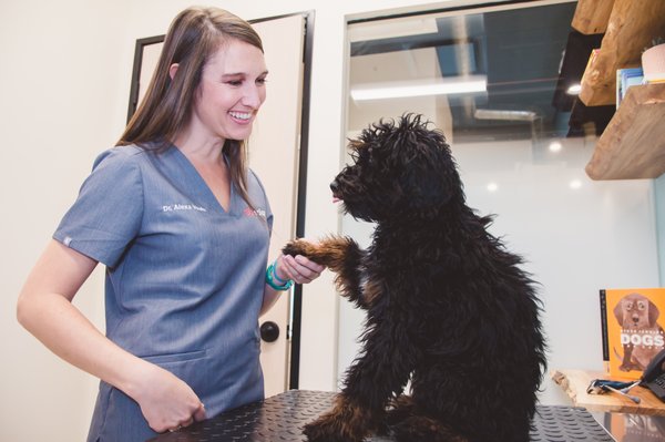 SPLOOT VETERINARY CARE - HIGHLANDS - Updated September 2024 - 103 ...