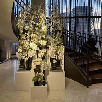 LONG BAR & TERRACE with 76 real customer photos - Updated August 2024 ...