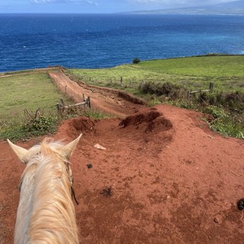 CIRCLE M RANCH - Updated July 2024 - 407 Photos & 252 Reviews - 3530 ...