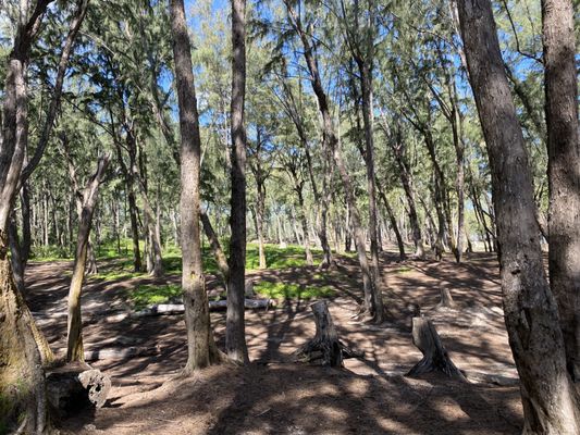 BELLOWS FIELD BEACH PARK CAMPGROUND - Updated December 2025 - 41-43 ...