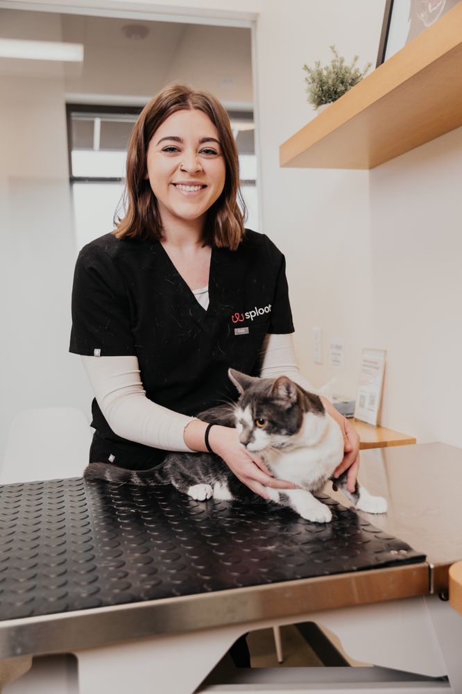 SPLOOT VETERINARY CARE - HIGHLANDS RANCH - Updated August 2025 - 81 ...