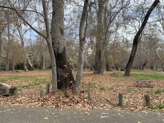 BIDDLE REGIONAL PARK - Updated June 2025 - 22 Photos - 3500 Lopez Dr ...