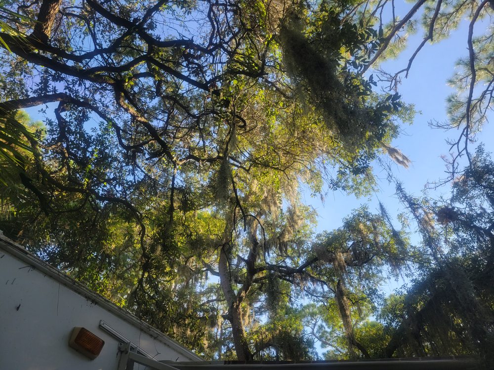 SUNCOAST RV RESORT - Updated December 2025 - 16 Photos - 9029 US Hwy 19 ...