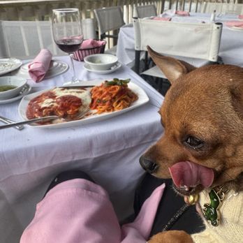 SOFIA’S OF CLIFTON PARK - Updated October 2025 - 76 Photos & 64 Reviews ...