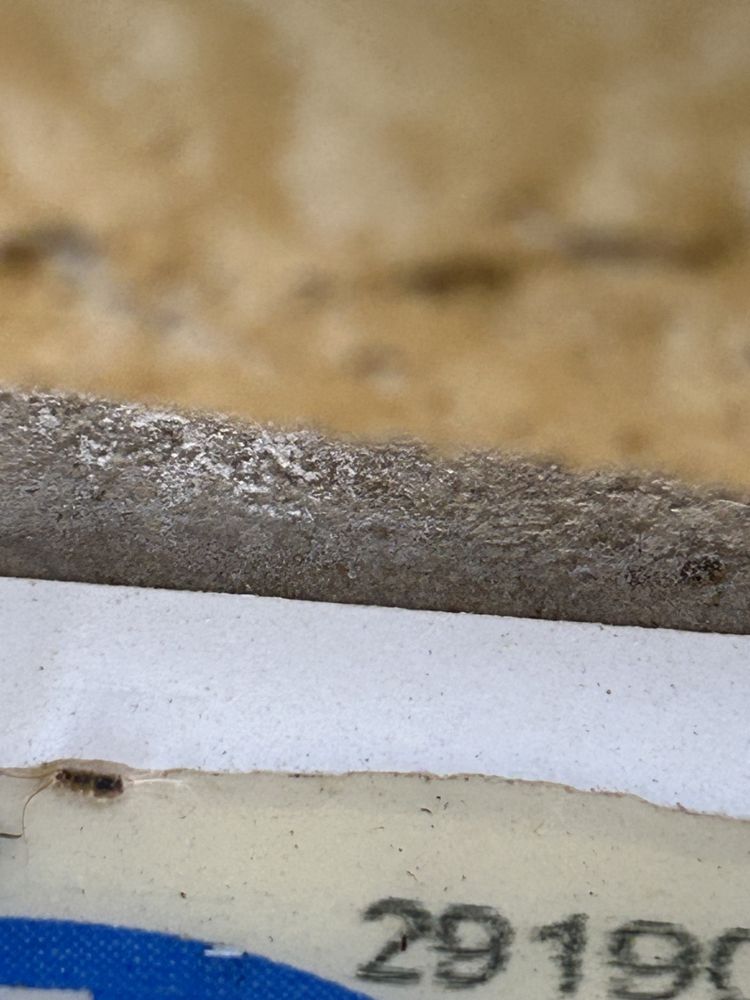 BURNS PEST ELIMINATION - Updated November 2025 - 48 Photos - Mesa ...