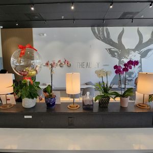 THE ALLEY BOBA TEA - ELK GROVE - 269 Photos & 85 Reviews - 7440 Laguna ...