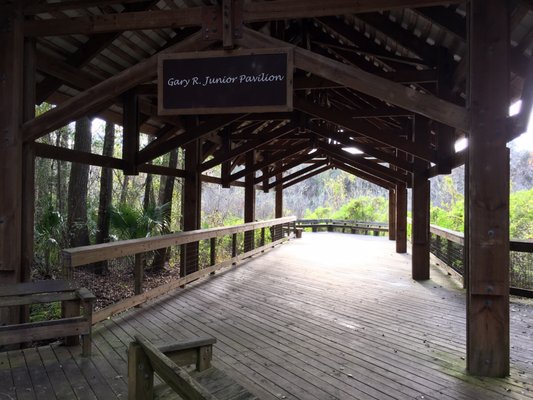 BIVENS ARM NATURE - 31 Photos - Parks - 3650 S Main St, Gainesville, FL ...