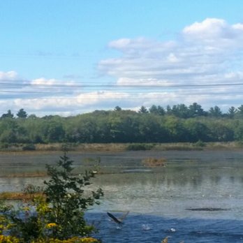 GREAT SWAMP MANAGEMENT AREA - Updated January 2026 - 31 Photos ...