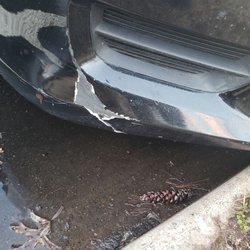 VIP HONDA - 26 Photos & 83 Reviews - Car Dealers - 700 US 22 E, North ...