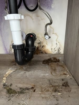 Pillar To Post Home Inspectors - Green Team - Updated June 2026 - 14 ...