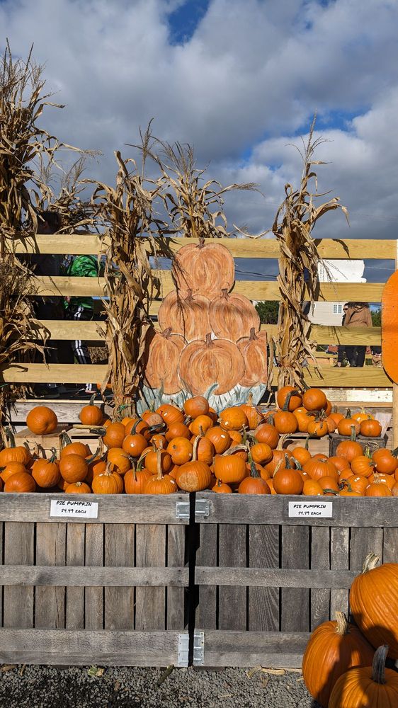 NALLS PRODUCE - Updated August 2025 - 394 Photos & 138 Reviews - 7310 ...